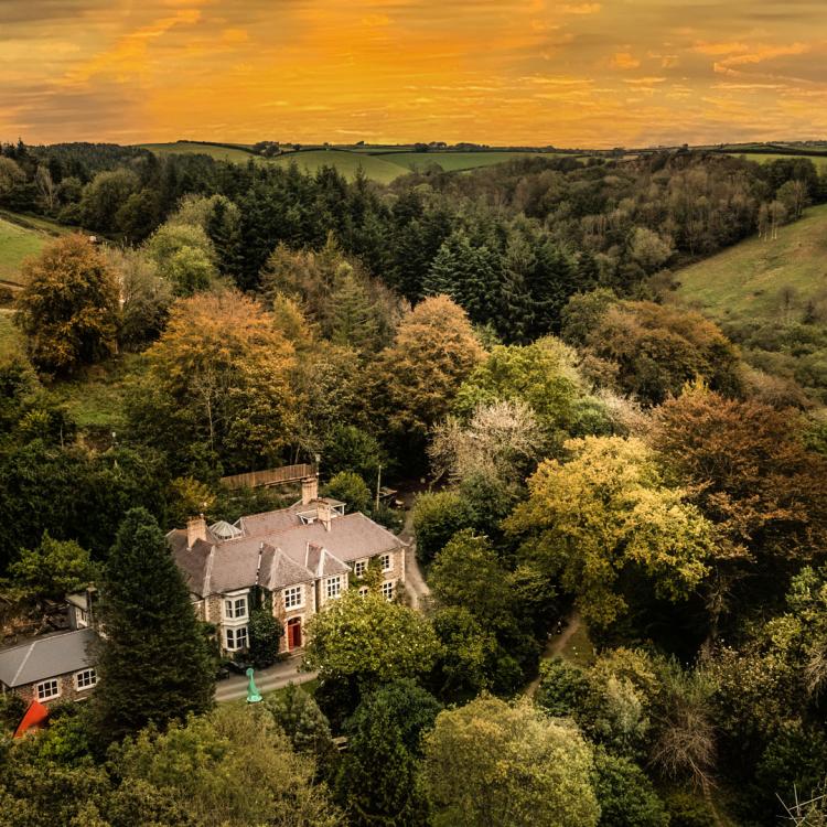 Broomhill Sculpture Gardens - In Harmony | Royal Society of Sculptors