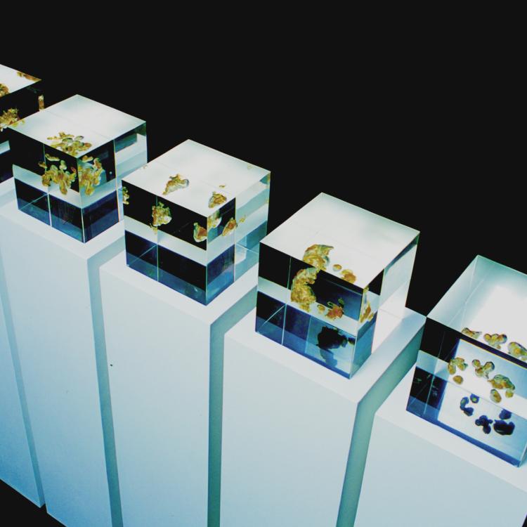 Annie Cattrell FRSS | Royal Society of Sculptors